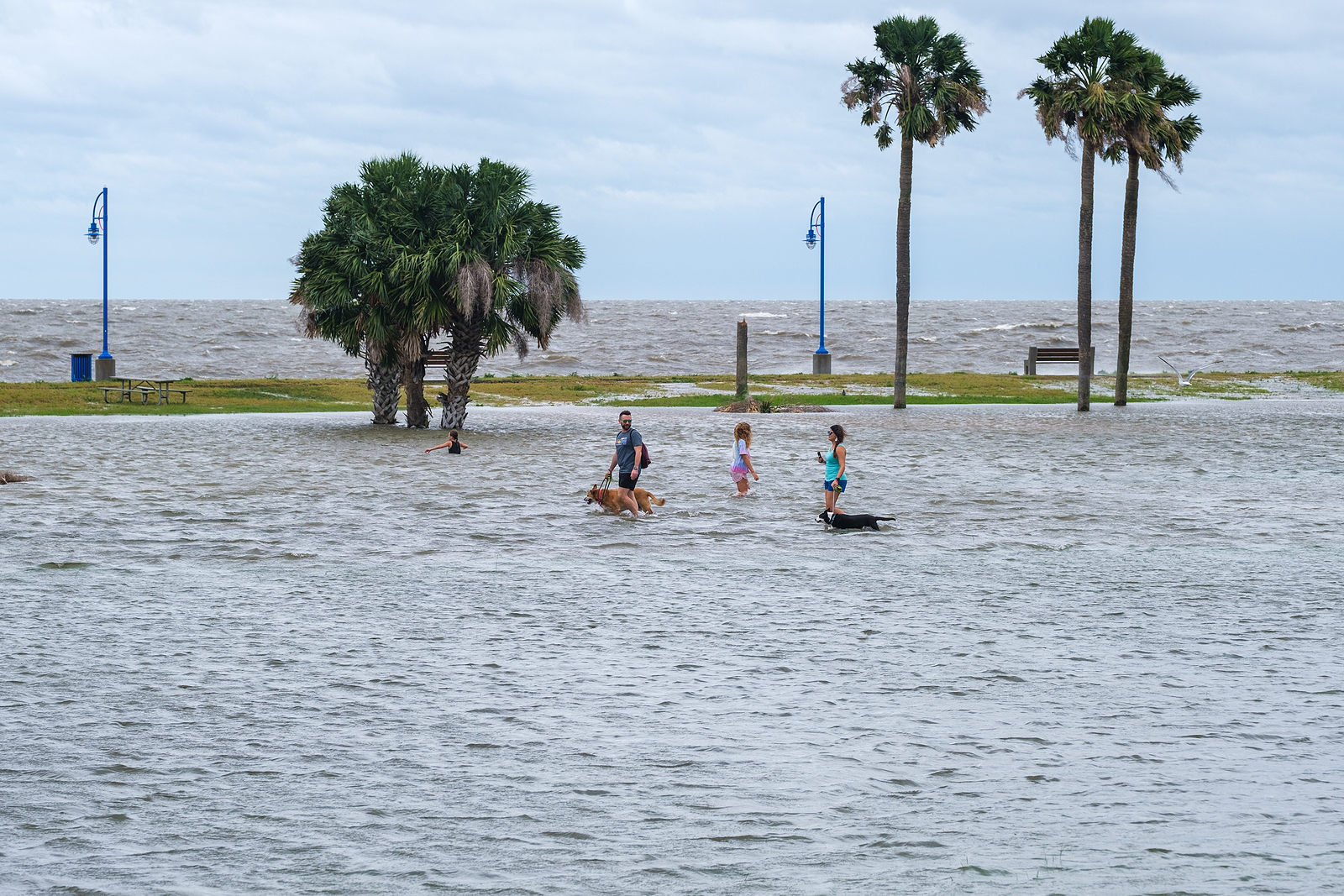 What Should Louisiana Business Owners Know About Hurricanes? - Law ...